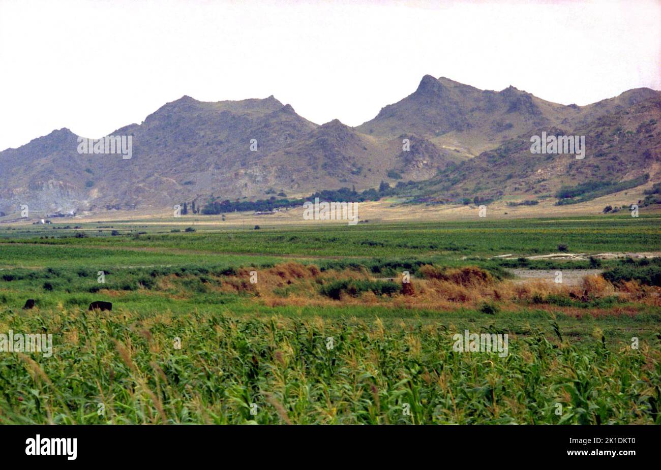 Romania, 2000. Summer landscape in Dobrogea region Stock Photo - Alamy