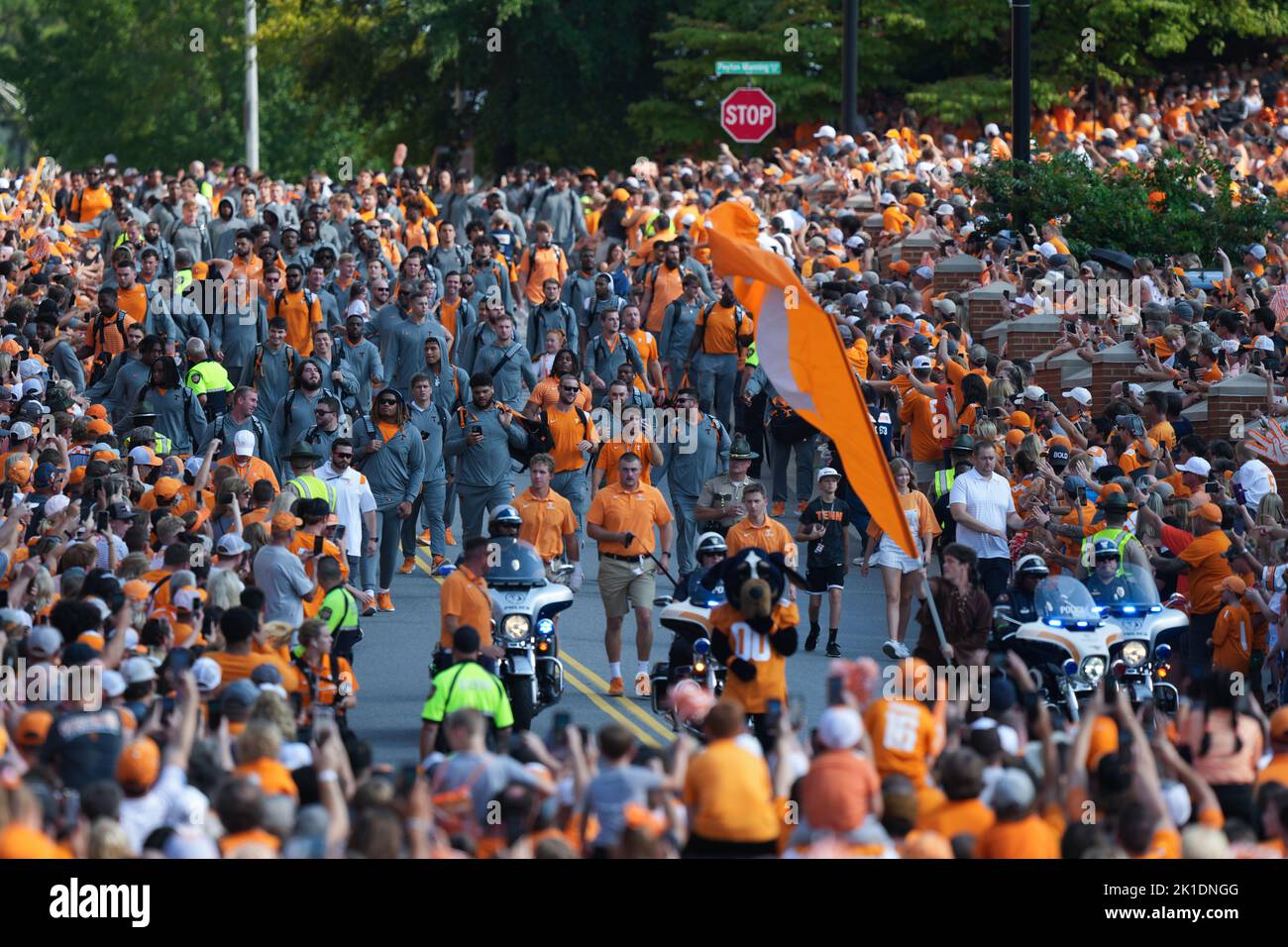 Team vol _17_ jpg hi-res stock photography and images - Alamy