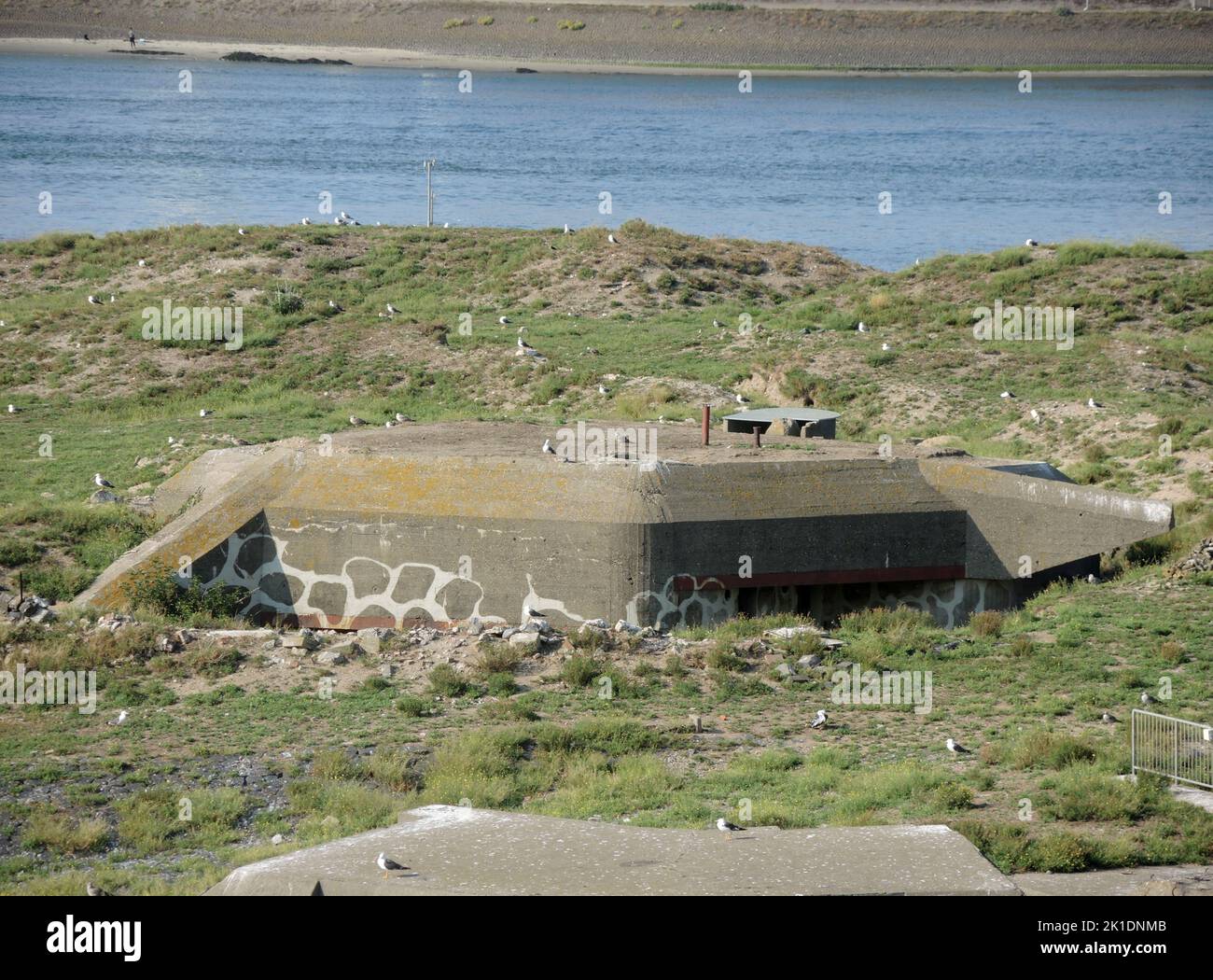 AJAXNETPHOTO. 25TH AUGUST, 2022. IJMUIDEN, NETHERLANDS. - ISLAND ...