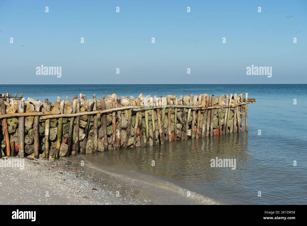 beach erosion at Chelem, Yucatan, Mexico on Gulf of Mexcio Stock Photo ...