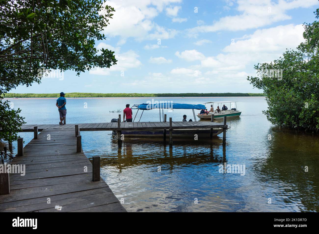 Flamingo mating grounds hi-res stock photography and images - Alamy