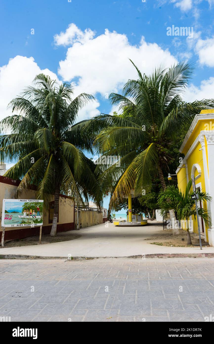 Celestun Biosphere Reserve, Yucatan, Mexico Stock Photo - Alamy