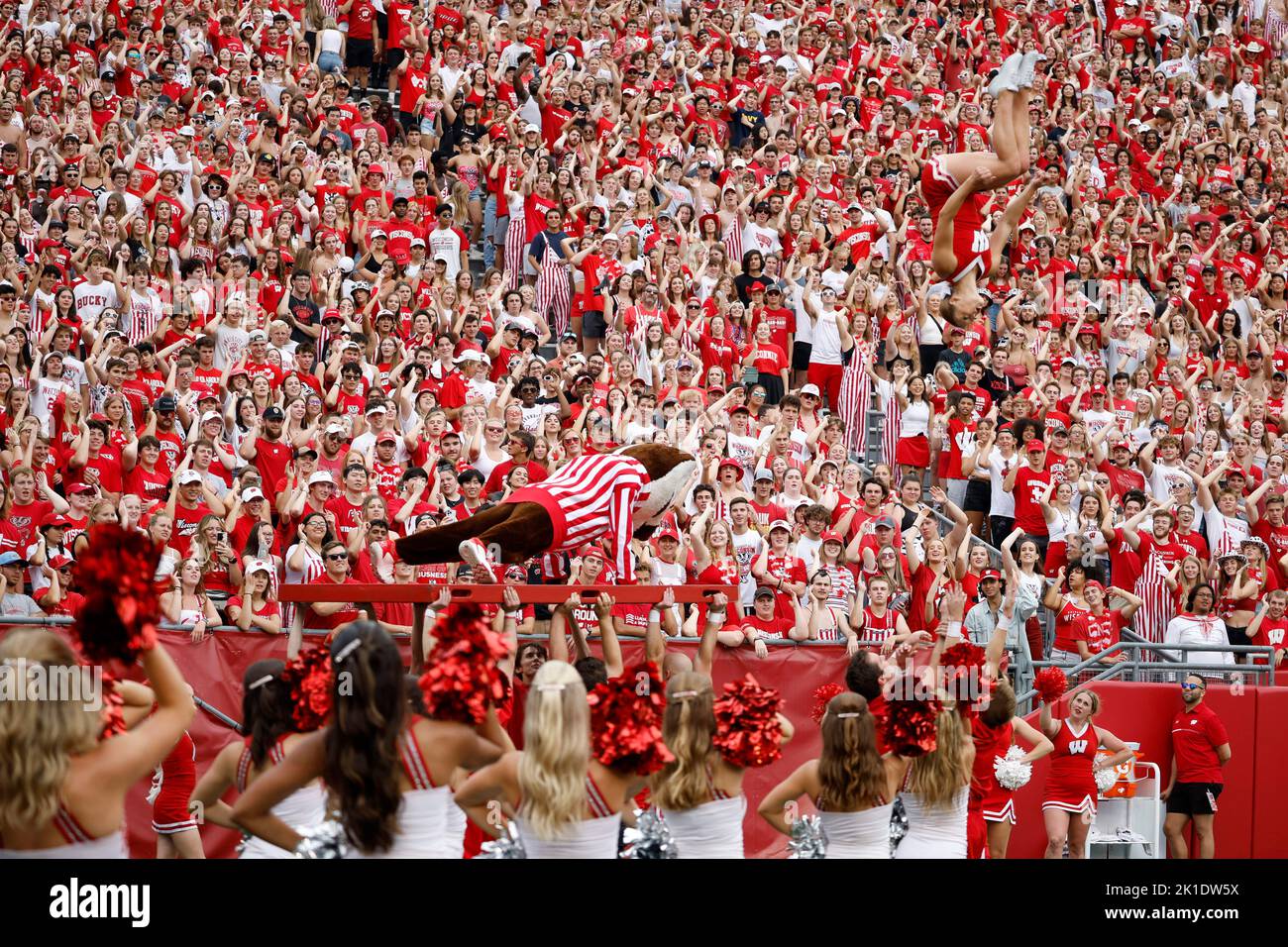September 17, 2022: Wisconsin Badgers mascot Bucky Badger does push ups ...