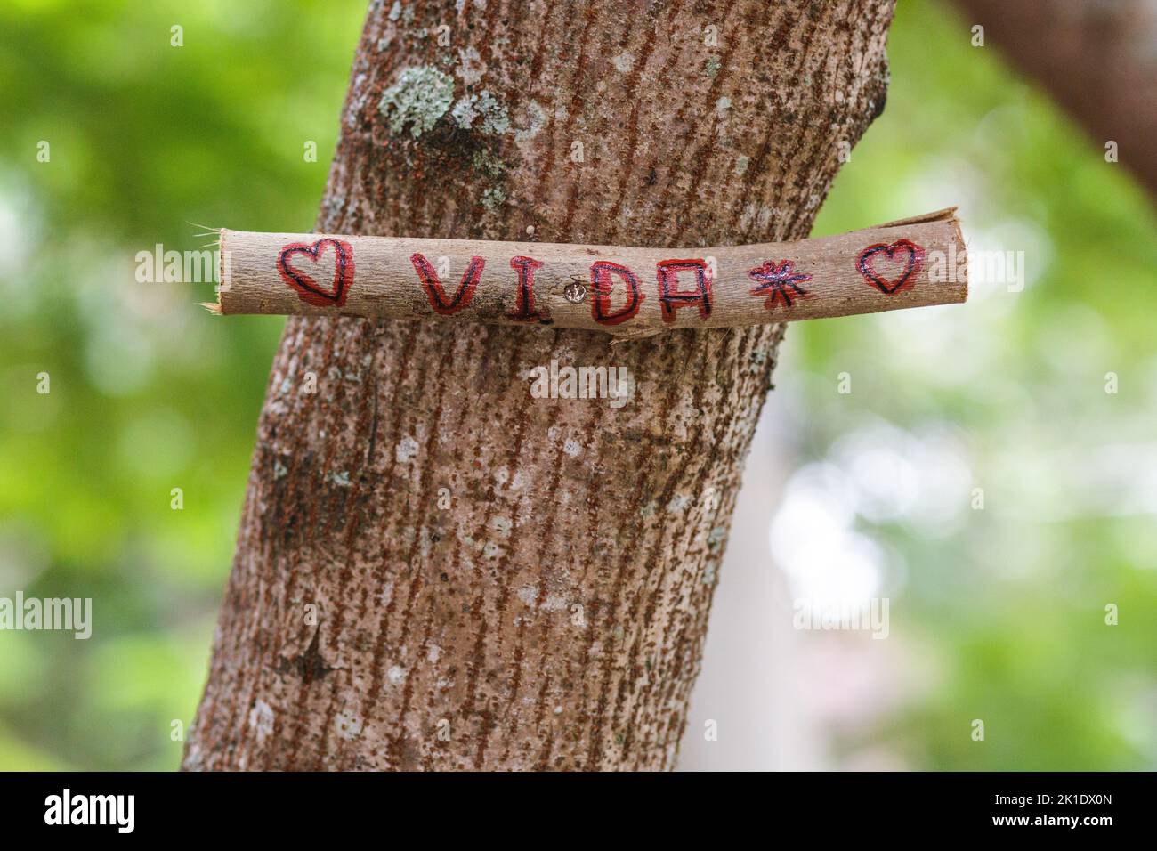 sign stuck in a tree written (life) from Rio de Janeiro Stock Photo - Alamy
