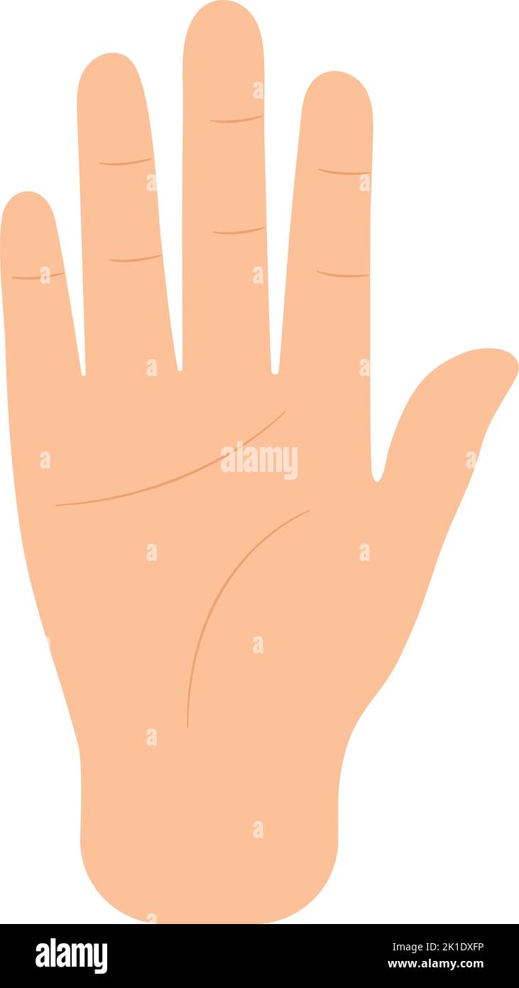hand palm illustration Stock Vector Image & Art - Alamy