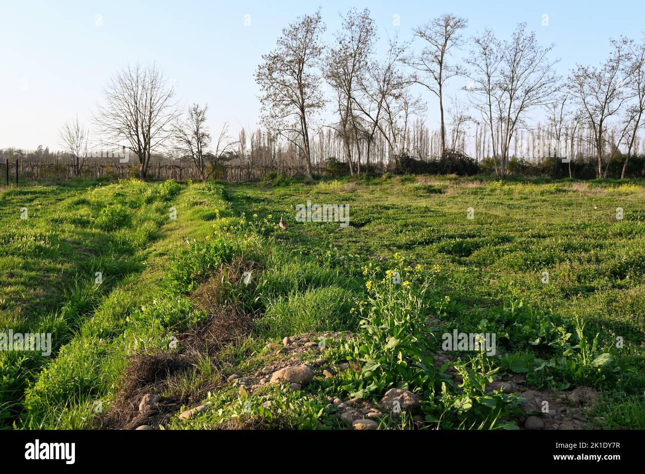 Rural chile hi-res stock photography and images - Alamy