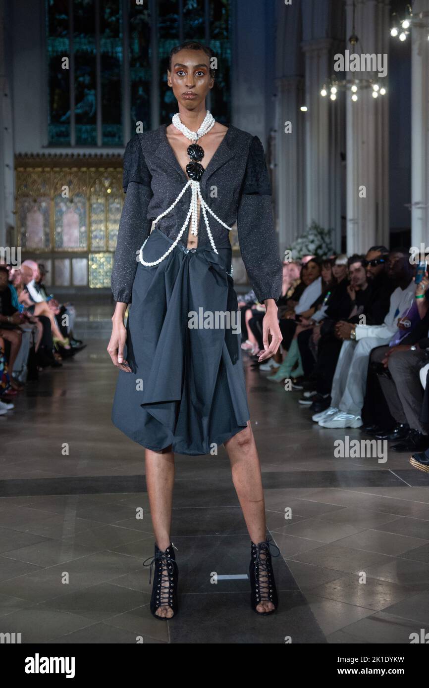 Lace copperwood hi-res stock photography and images - Alamy