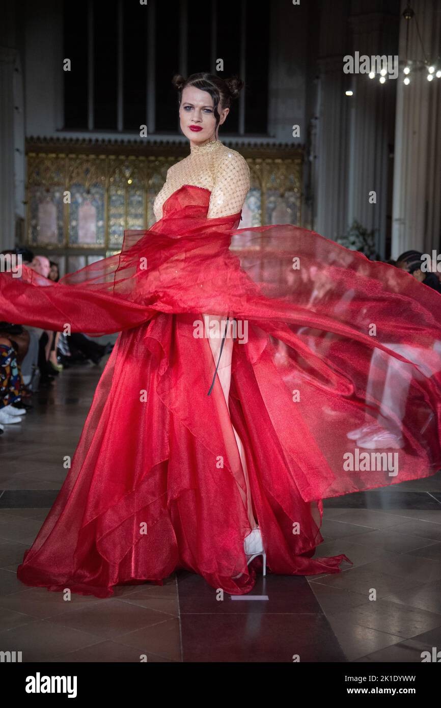 Lace copperwood hi-res stock photography and images - Alamy