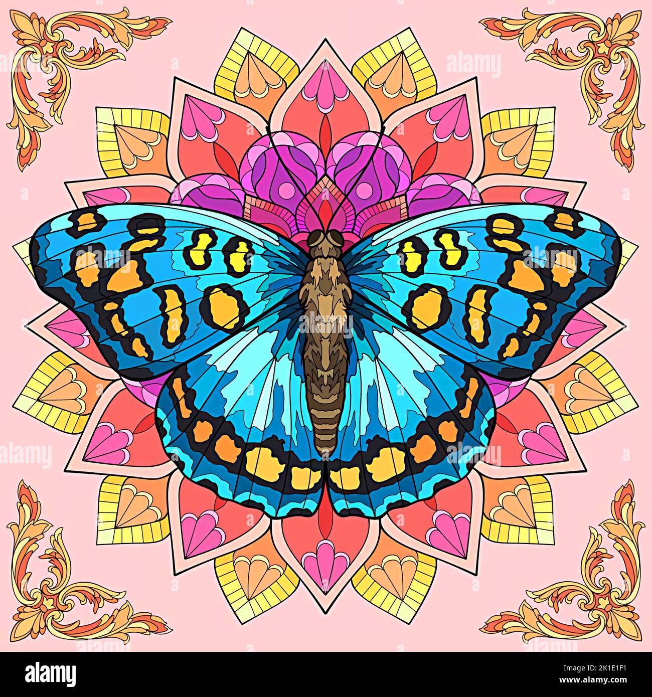 picture of a blue and orange butterfly on a purple, pink, yellow and ...