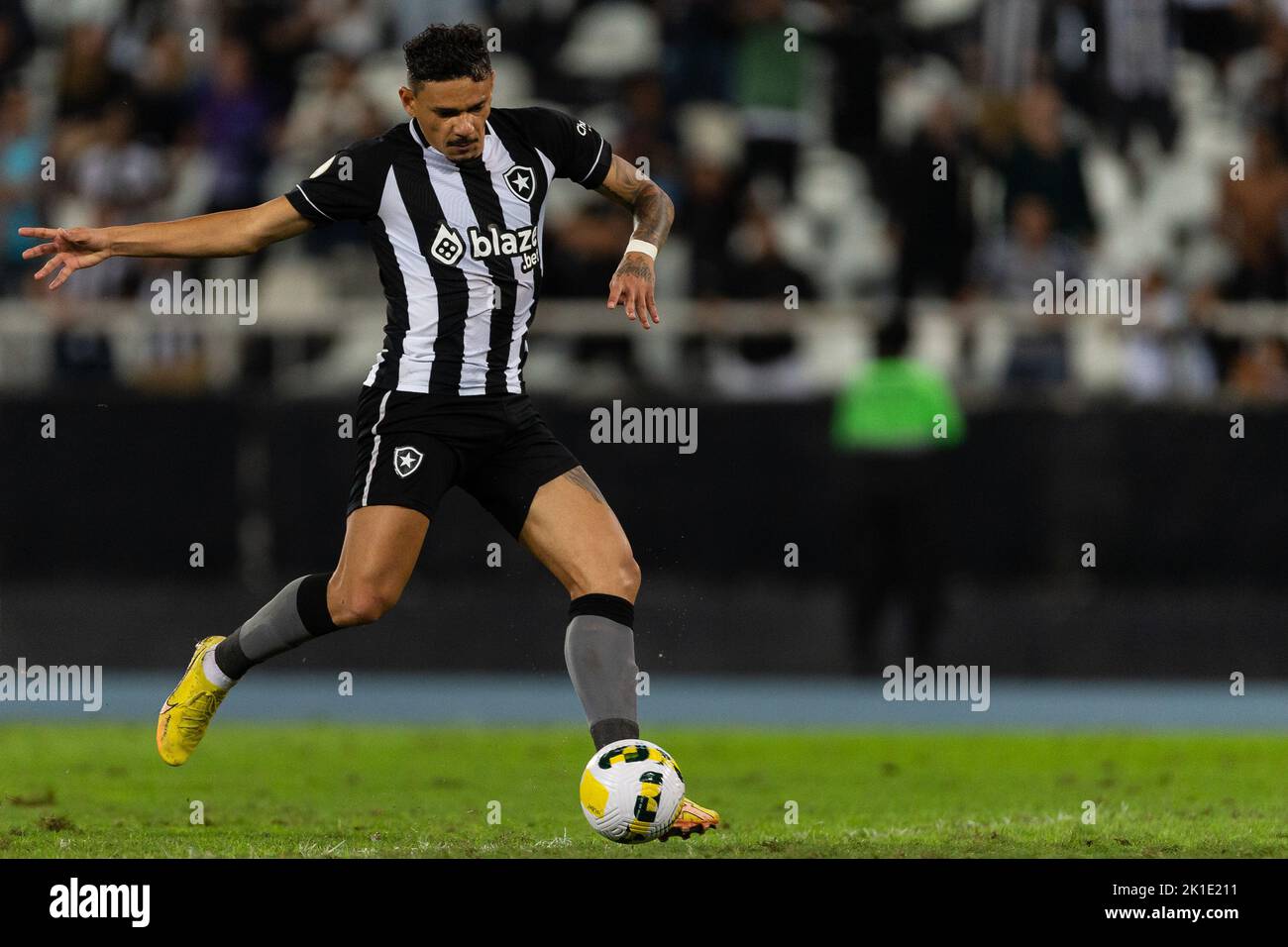 TIQUINHO SOARES of Botafogo celebrates a goal during the match between ...