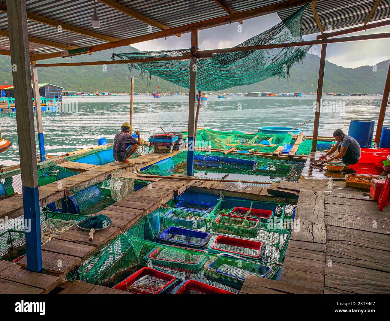 Two men sitting on a floating dock, one is cleaning fish, the other ...