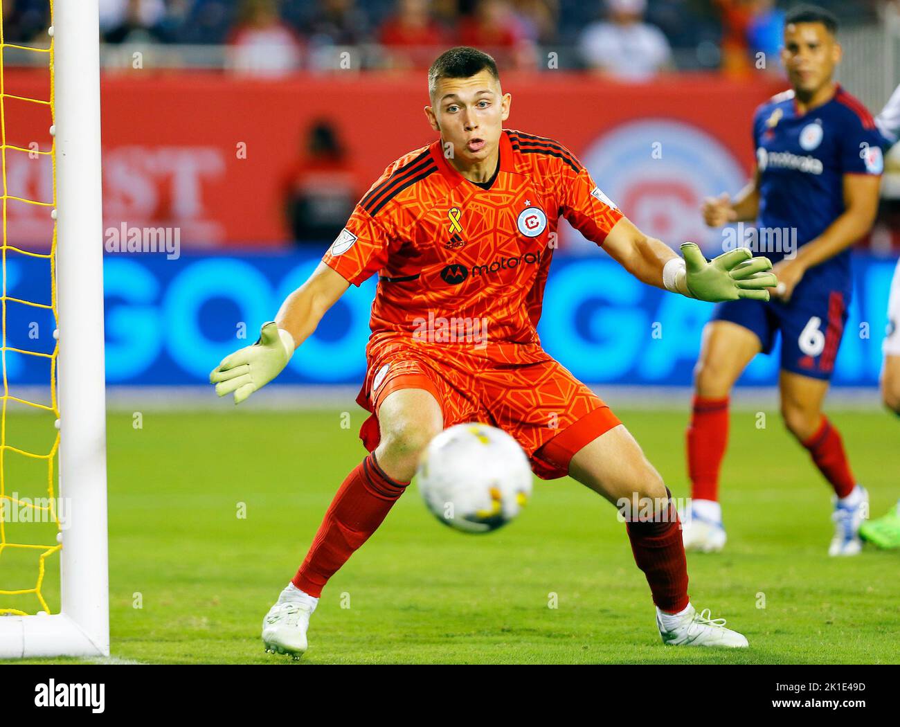 Gaga slonina hi-res stock photography and images - Alamy