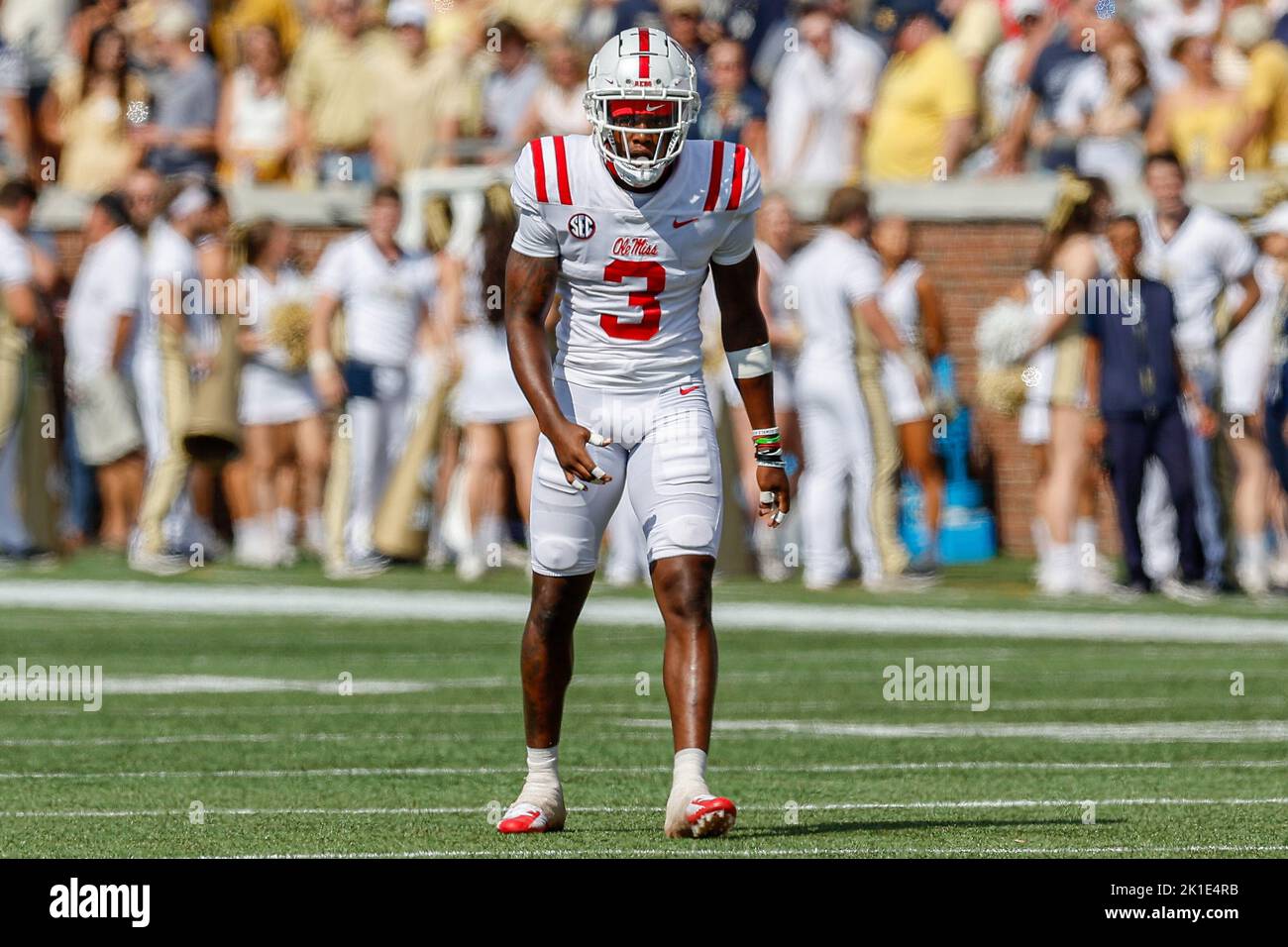 2022 497_ jpg hi-res stock photography and images - Alamy