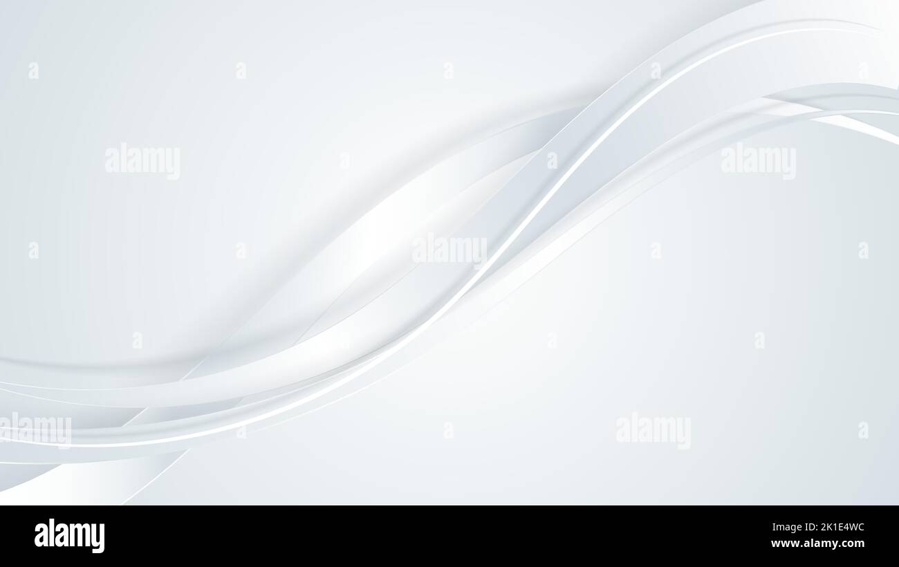 Abstract luxury 3D white and gray ribbon wave curved lines on clean ...