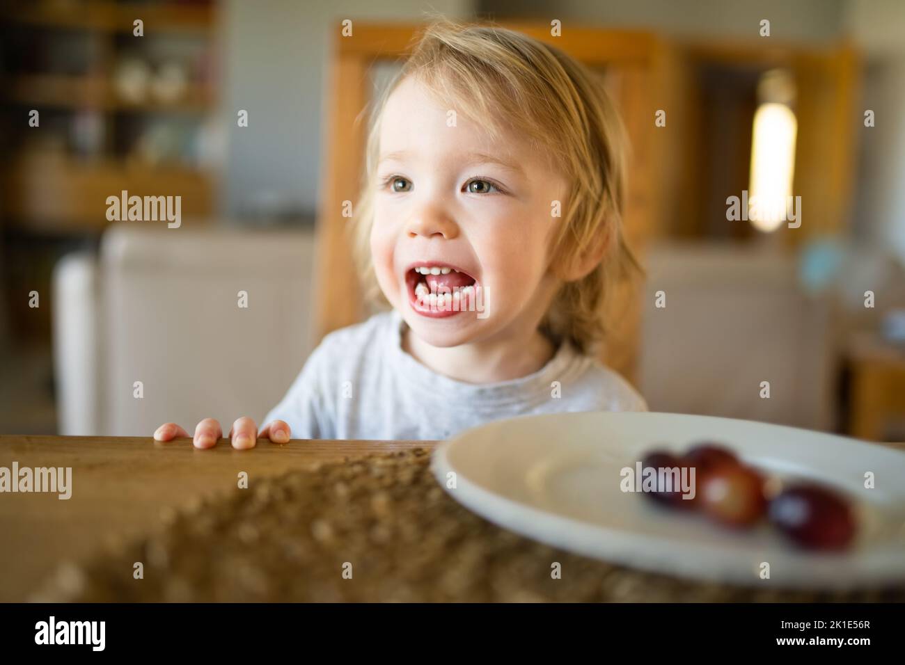 Cute little toddler boy eating grapes at home. Fresh organic frutis for ...