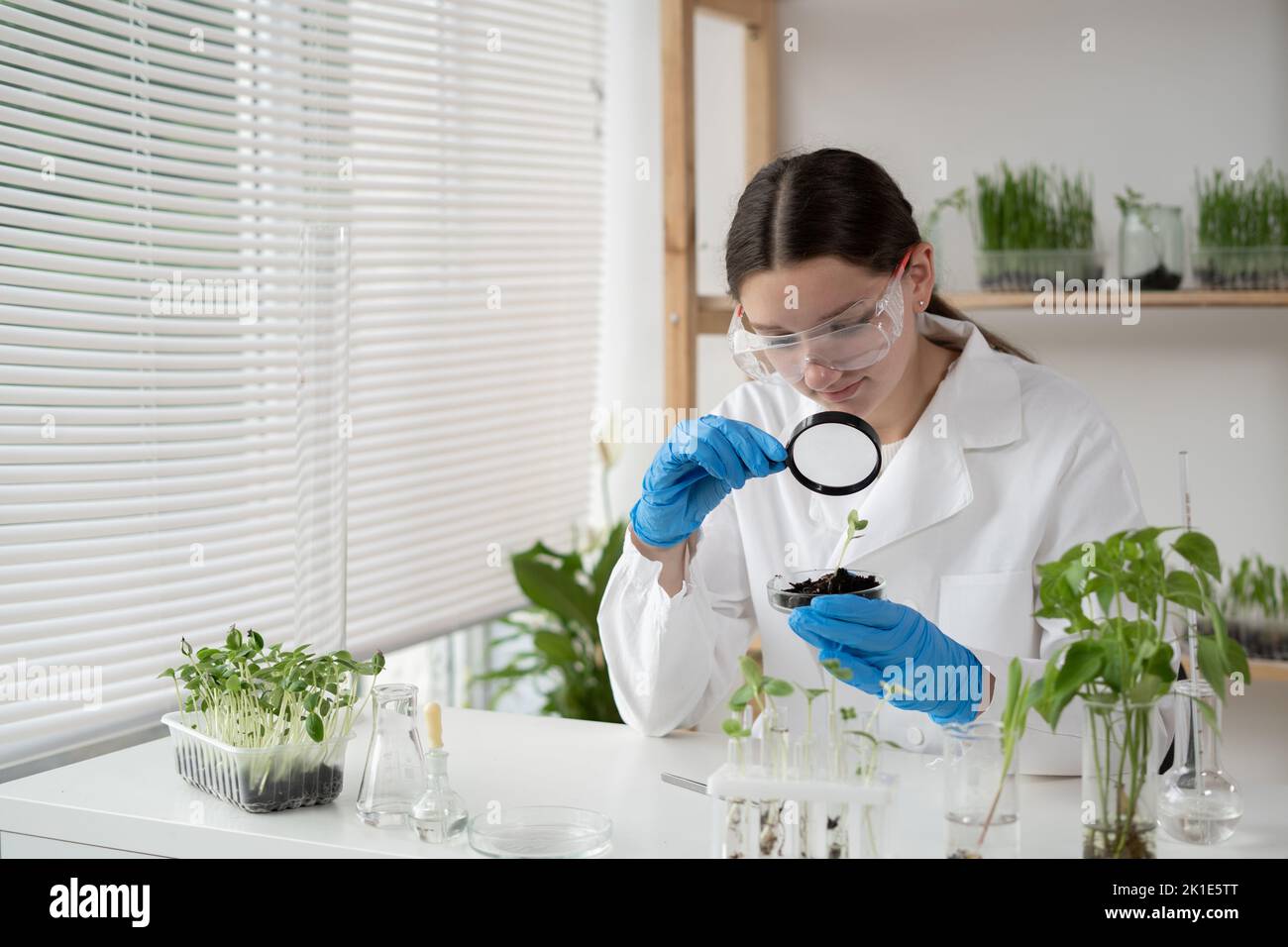 Scientist woman at laboratory is conducting experiments, tests with ...