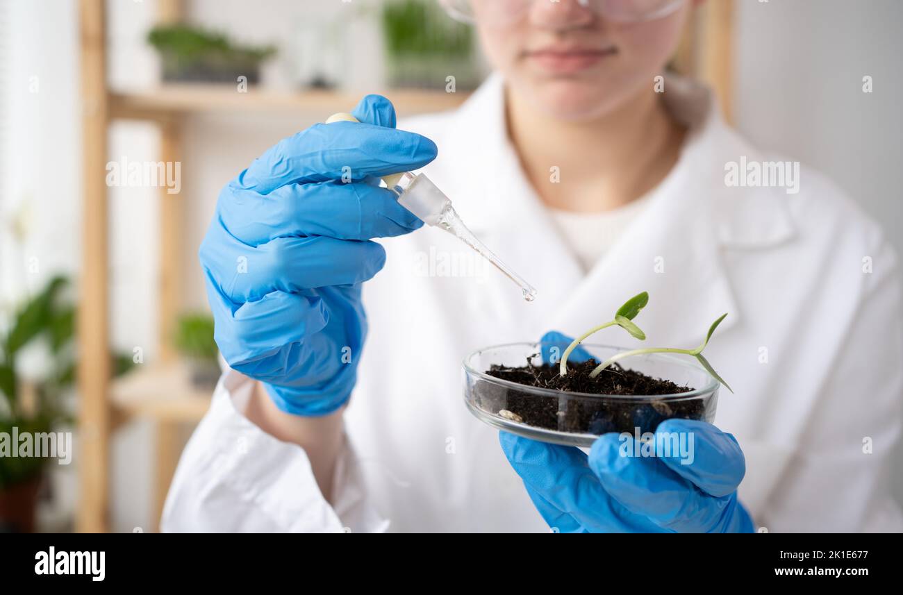 Female microbiologist adding vitamins and minerals from a pipette to ...