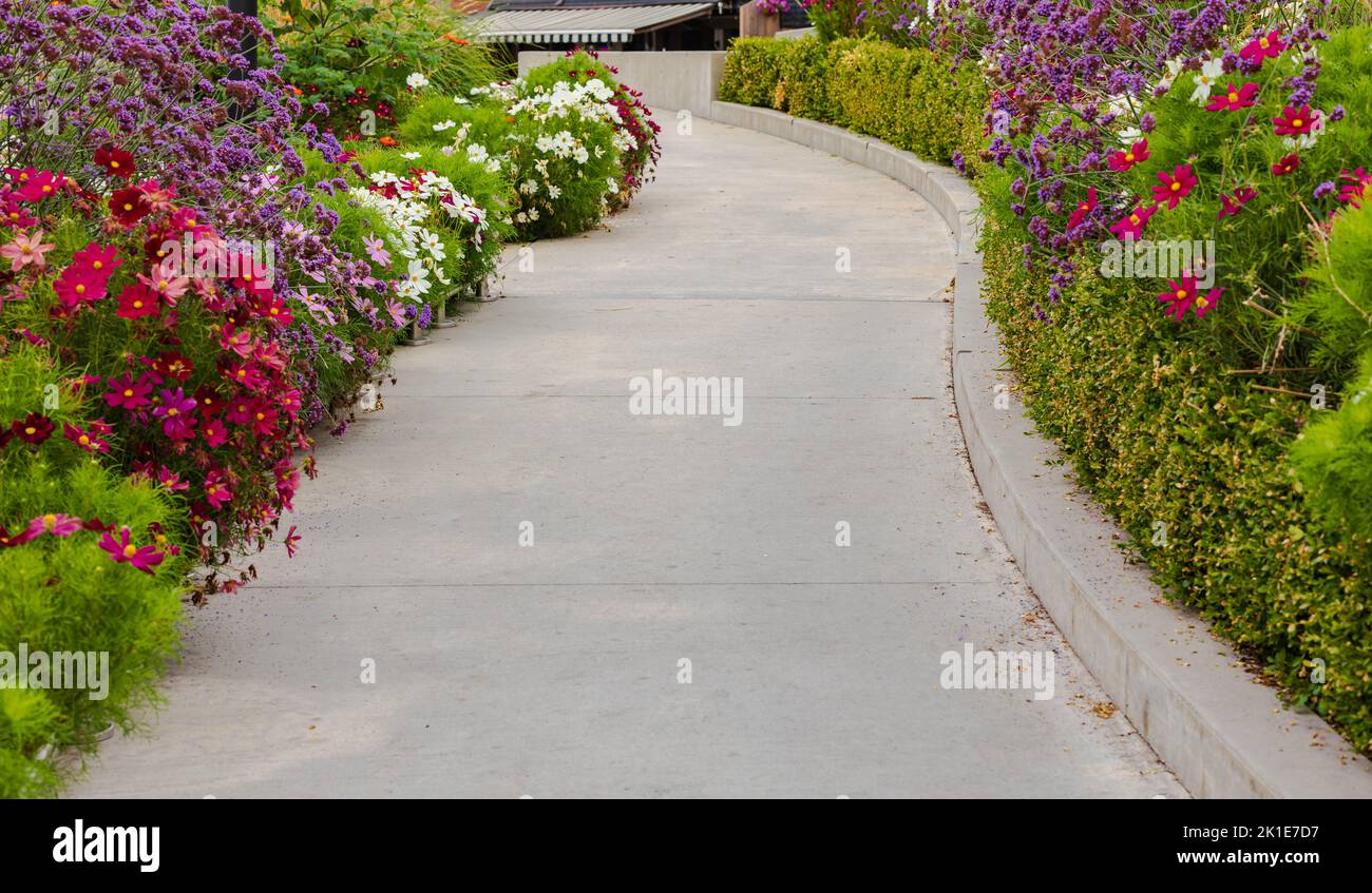 Walkway in flower garden in summer time. View of Colourful Flowerbeds ...