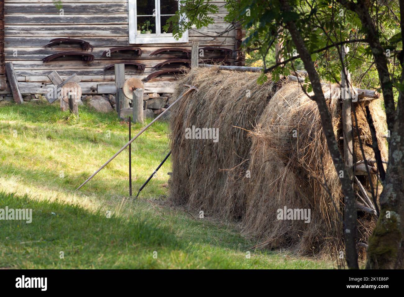 Hay-rack on a meadow this side wooden timber buildings. Grindstones and ...