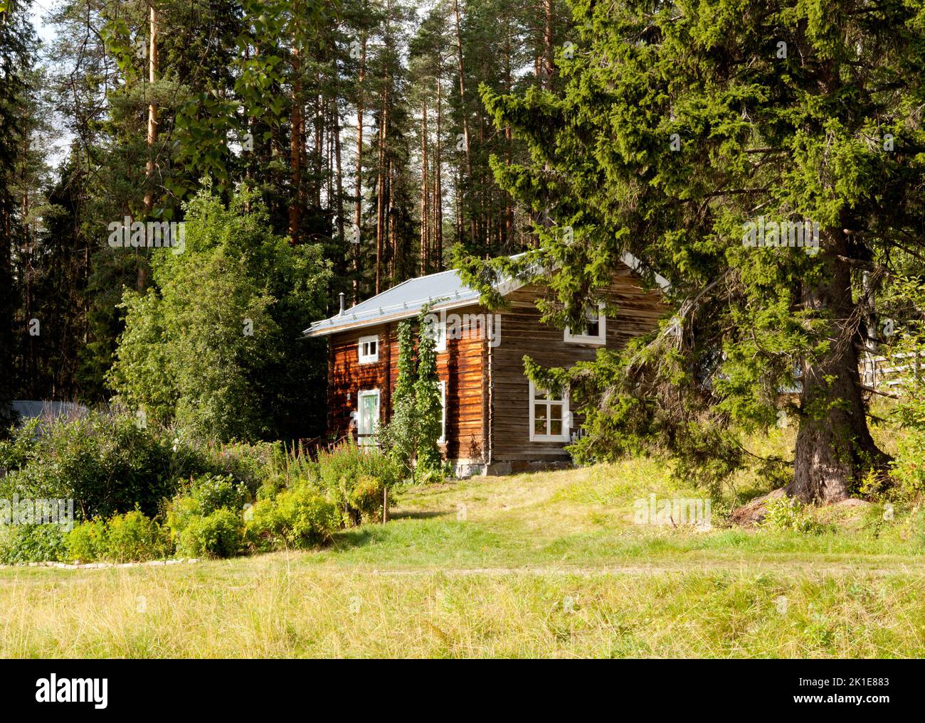 Wooden timber building at the edge of the forest. Farmland, flowers and ...