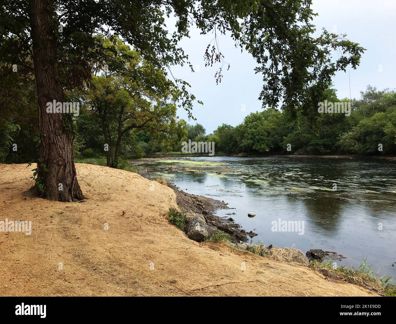 The site of a former spillway dam in Hammel Woods Forest Preserve has ...