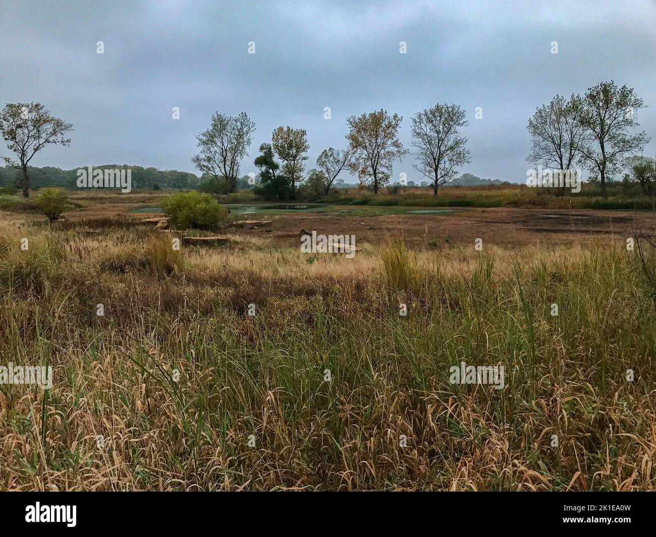 Normally a small lake or pond, this wetland feature at Goose Lake ...