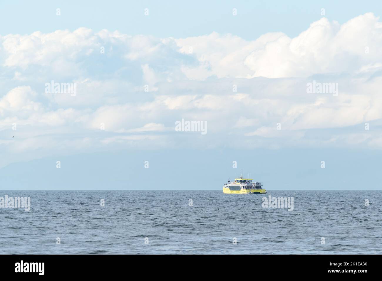 A yellow whale watching catamaran looking taking tourists on the Strait ...