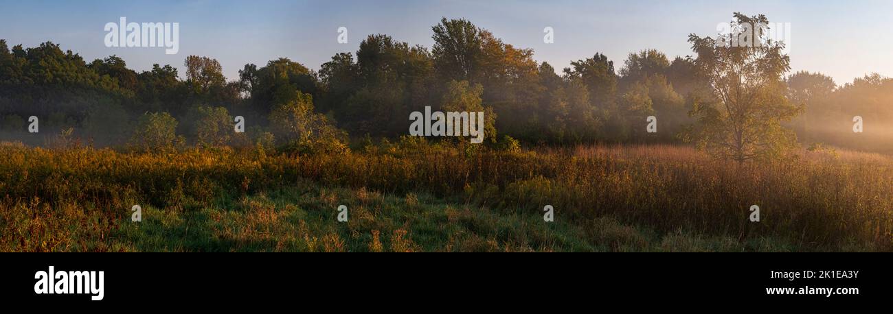 The sun rises into Springbrook Prairie at Springbrook Prairie Forest ...