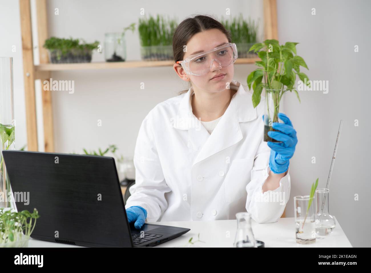 Female scientist working on a laptop computer, making analysis of a lab ...