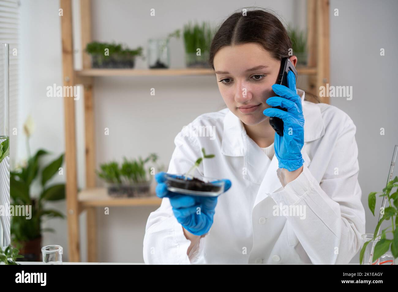 Scientist Talking on Phone in Agronomy Laboratory with young plants ...
