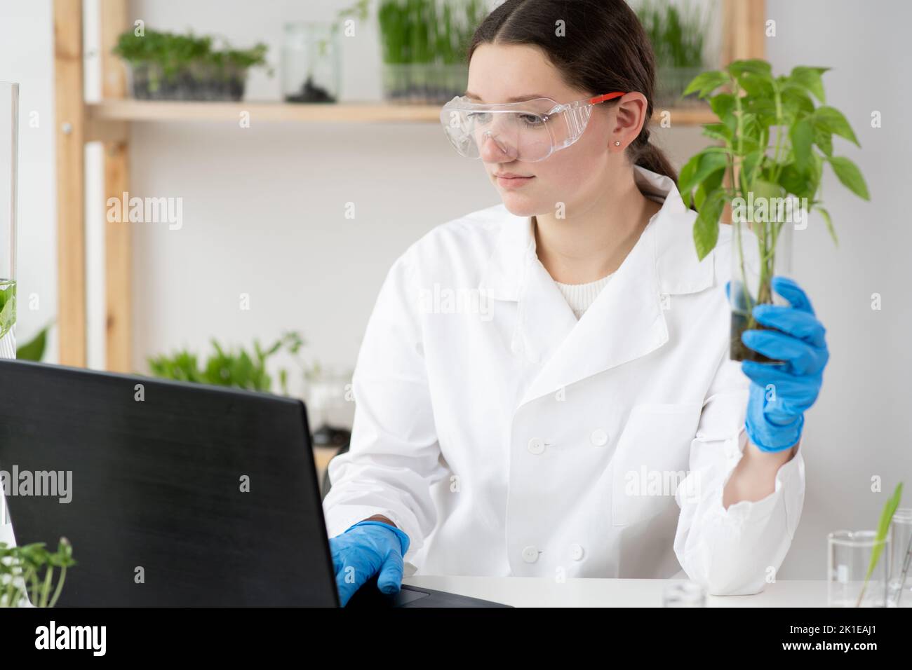 Female Microbiologist in glasses with a healthy green plant in a sample ...