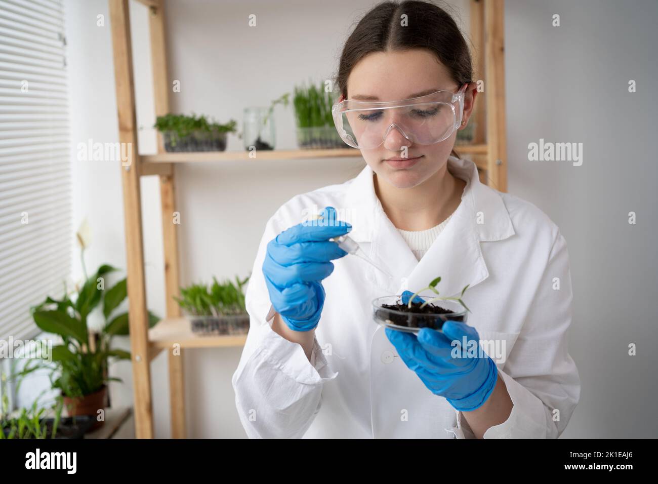 In a laboratory female research scientist conducts experiments by ...