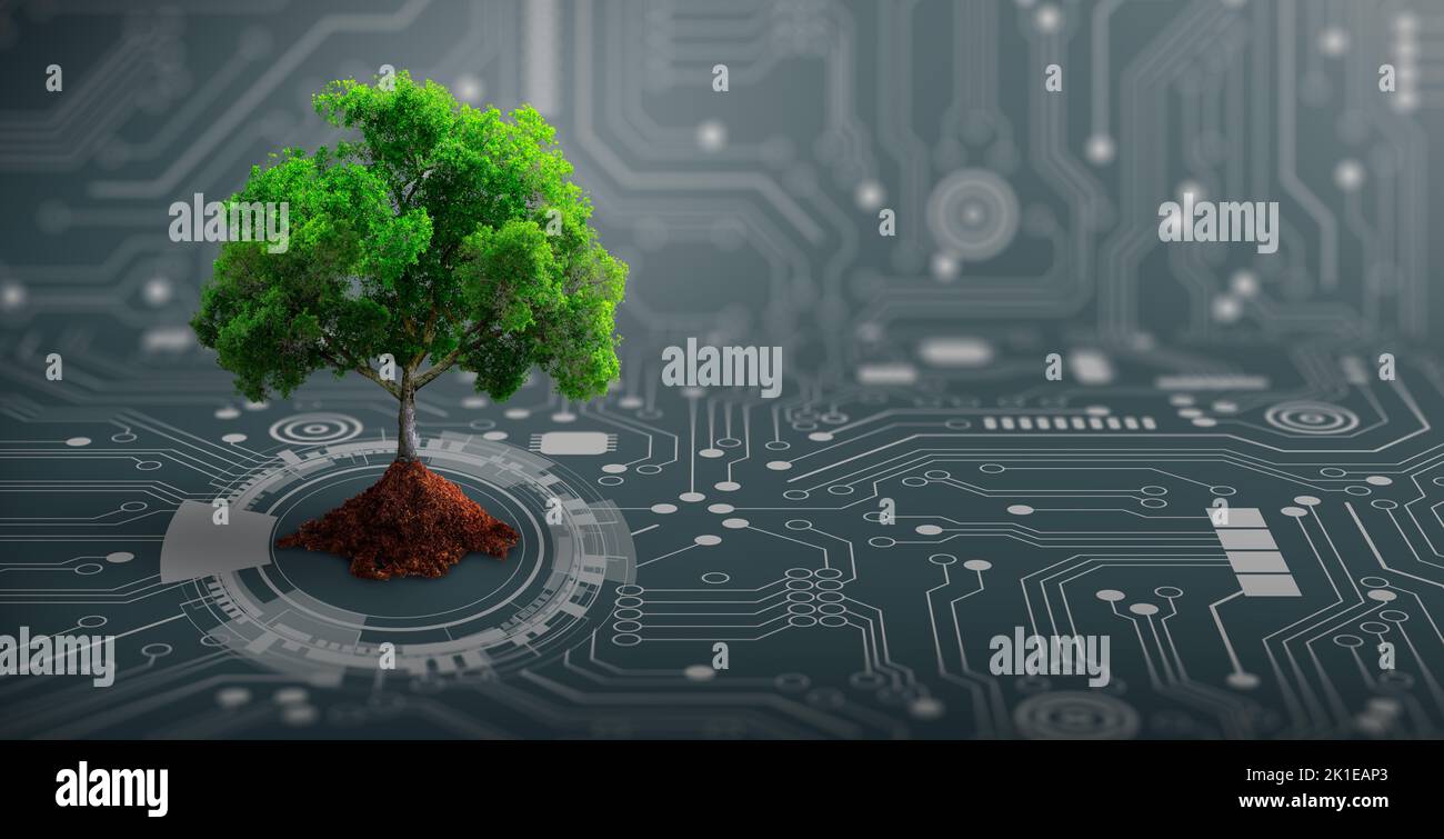 Growing tree with soil on the converging point of computer circuit ...