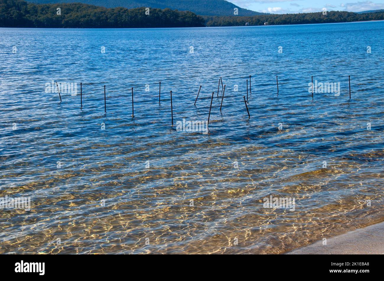 Lake St Clair Australia, metal rods of shipwreck emerging from clear ...
