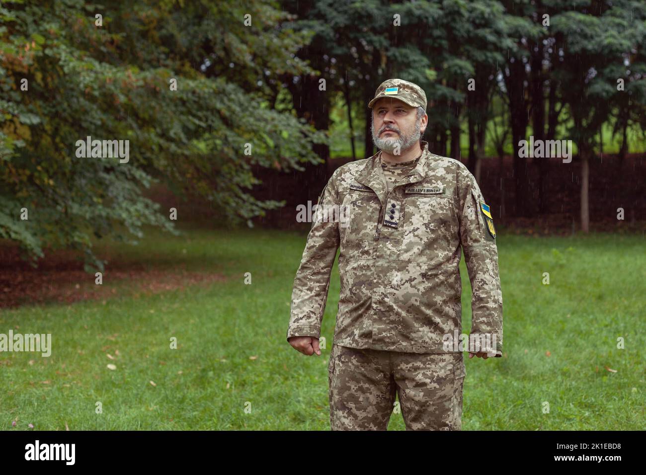 Portrait of a Ukrainian soldier in the forest. War in Ukraine, conflict ...