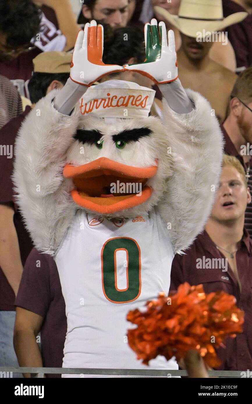 Sebastian The Ibis Arrested