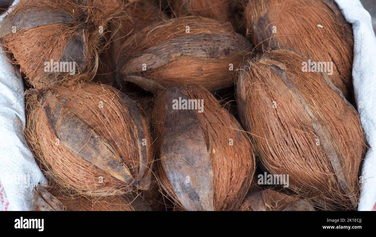 Oil palm bunch pile hi-res stock photography and images - Alamy
