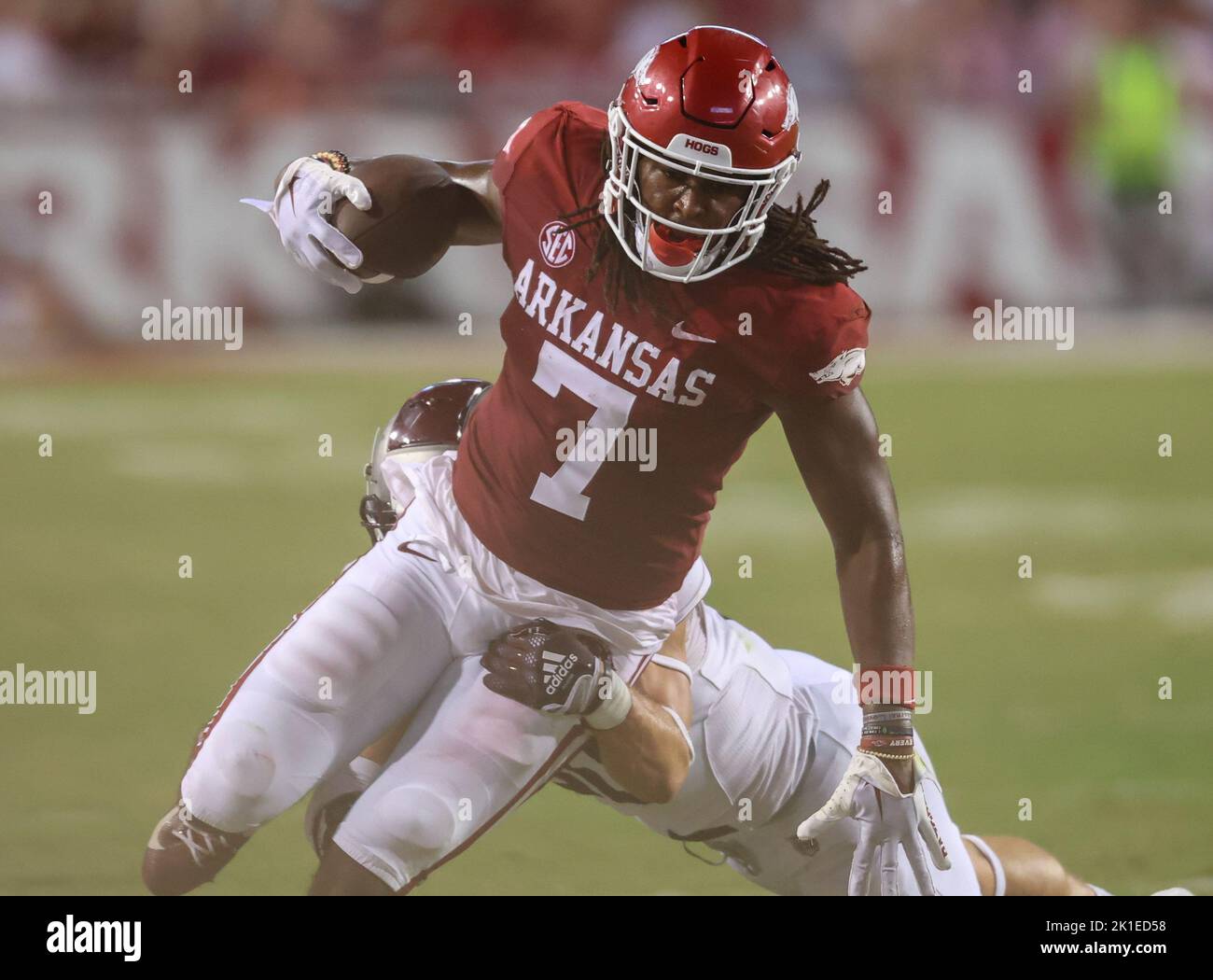 September 17, 2022: Razorback tight end Trey Knox #7 brings the ball up the field following a ...