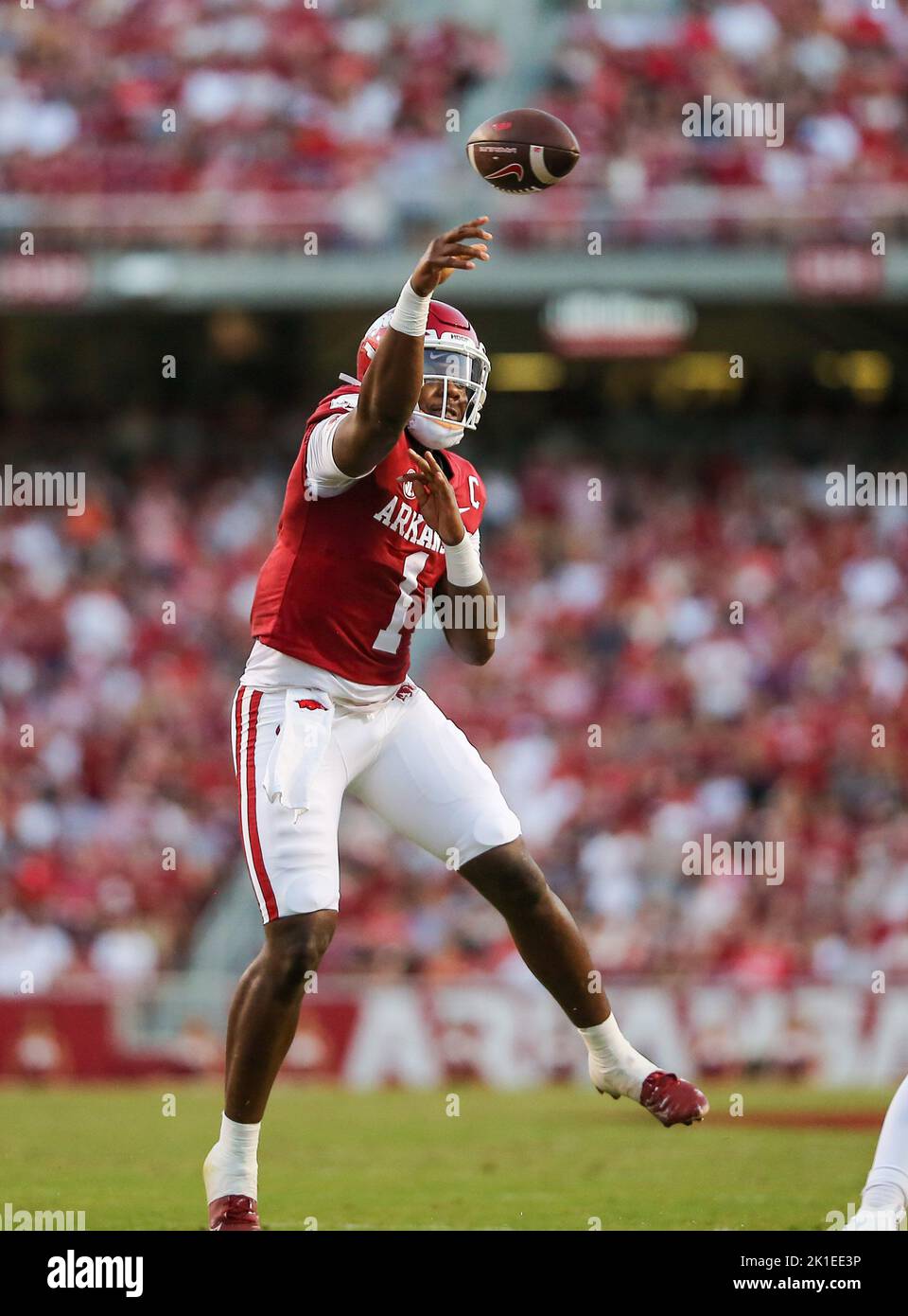 September 17, 2022: KJ Jefferson #1 Arkansas QB makes a throw back ...