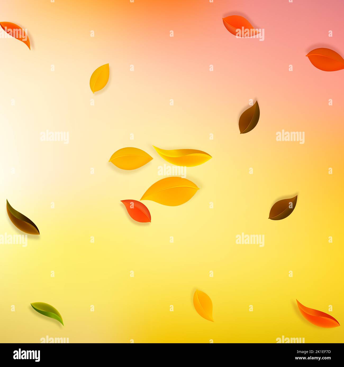 Falling autumn leaves. Red, yellow, green, brown neat leaves flying. Explosion colorful foliage ...