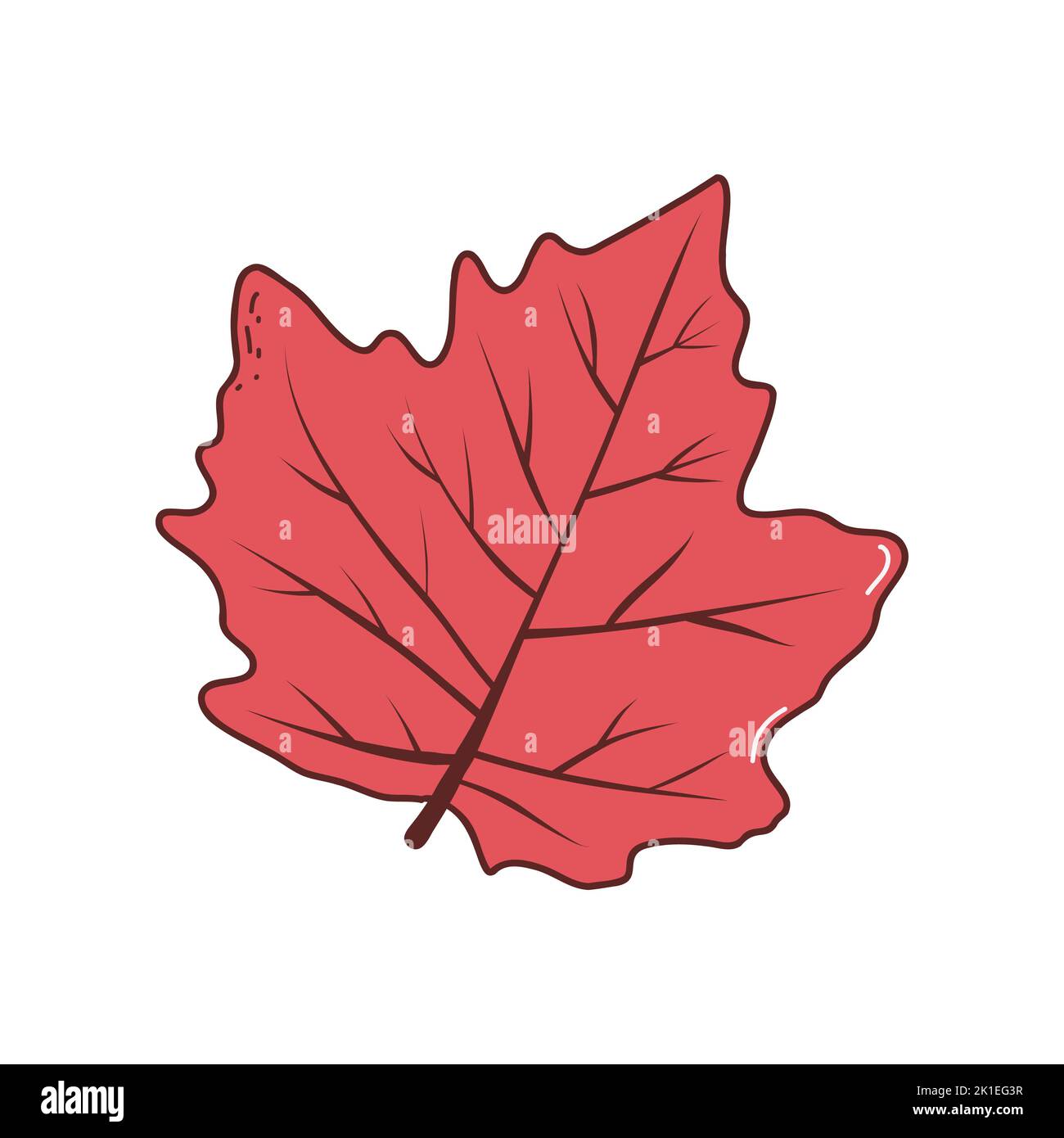 Autumn leaf. Vector illustration in hand drawn style Stock Vector Image ...