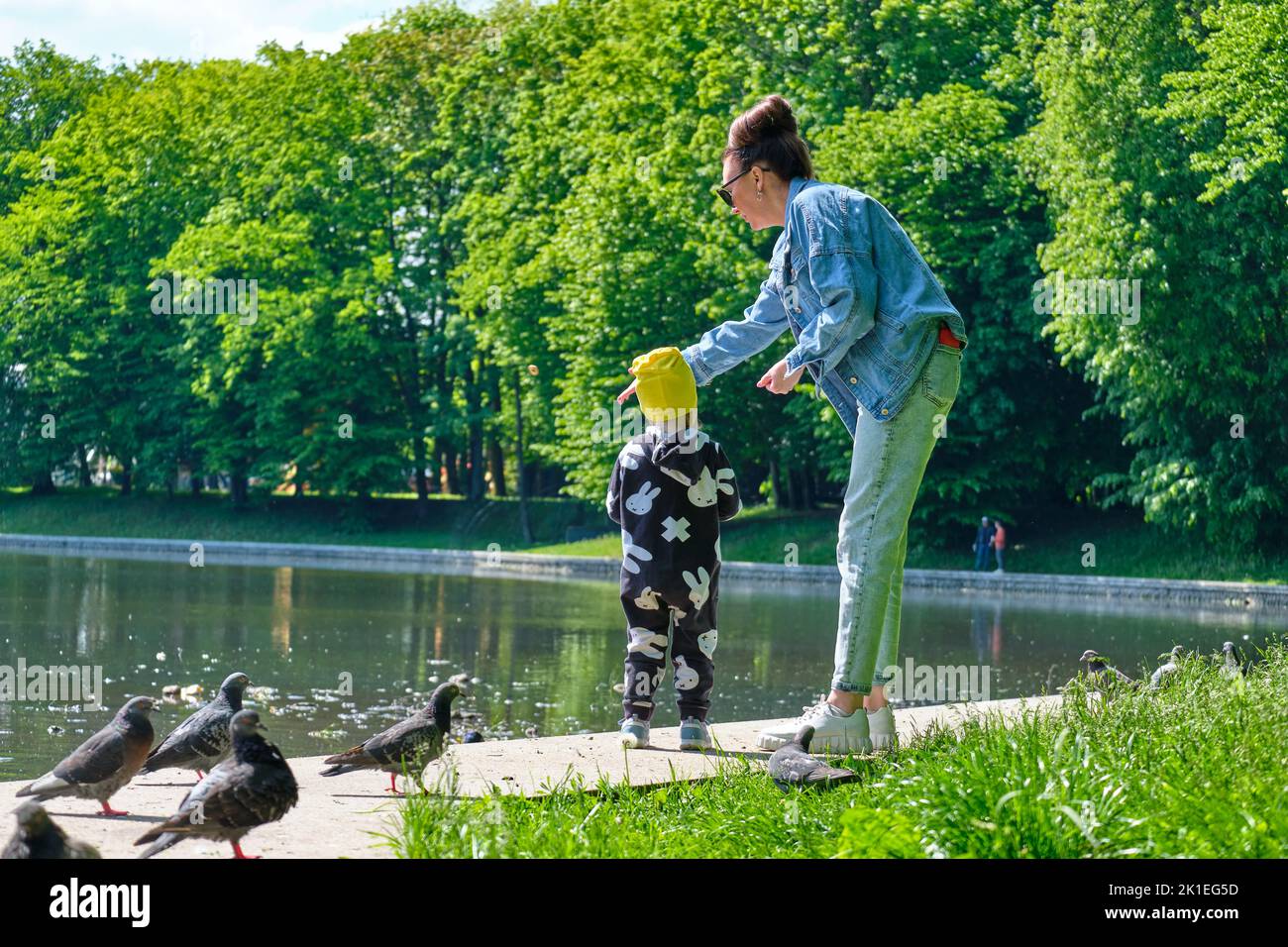 Mom and daughter are feeding bread crumbs to pigeons on the city pond ...