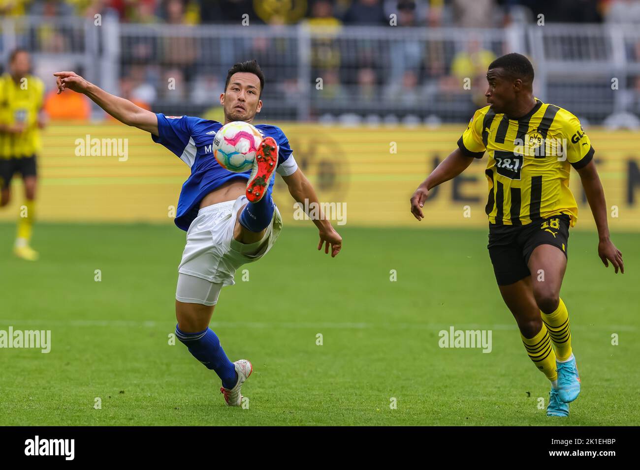DORTMUND, GERMANY - SEPTEMBER 17: Maya Yoshida of Schalke 04 during the ...