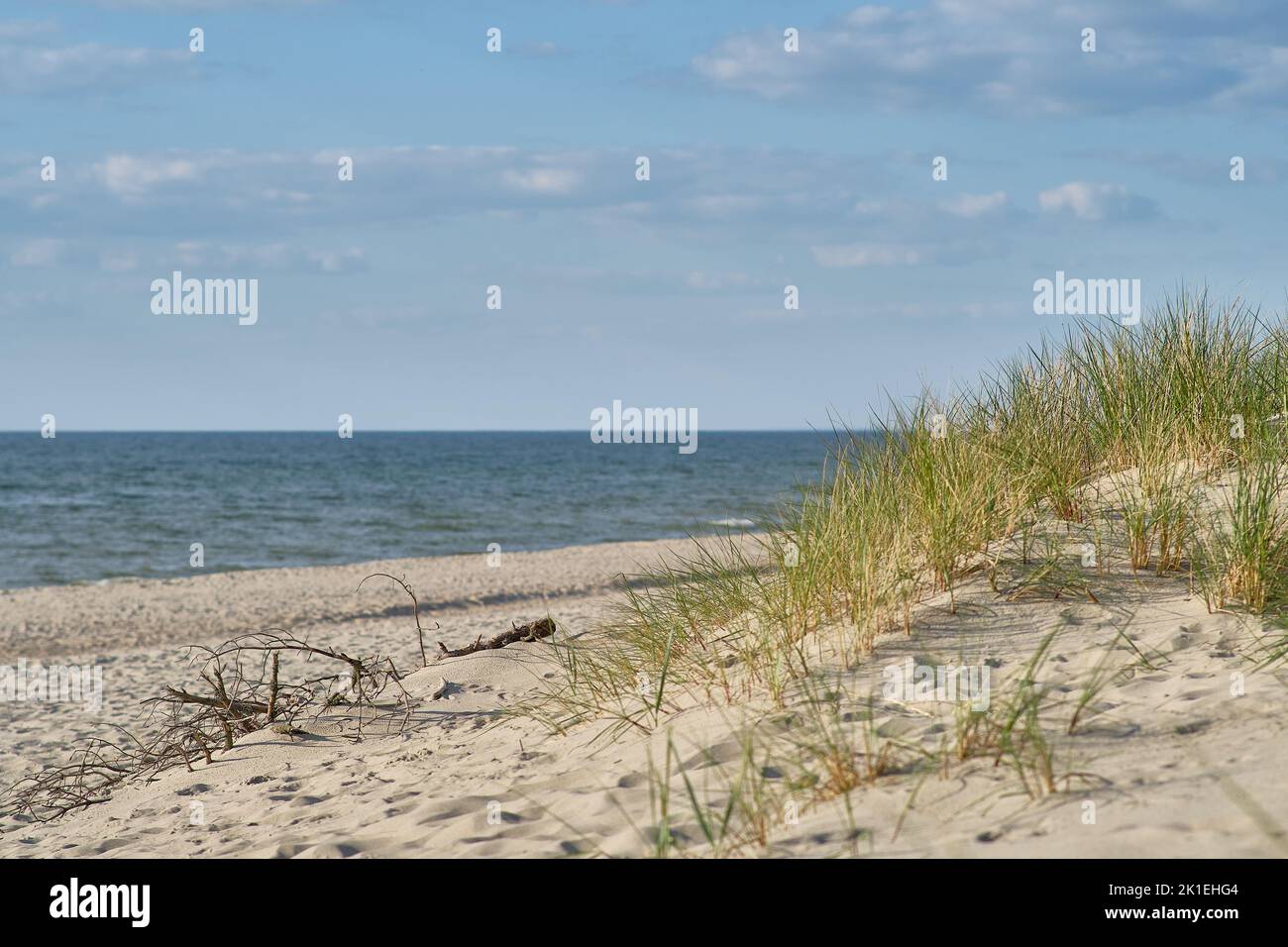 Sand dunes of the russian part Curonian Spit. Kaliningrad region ...