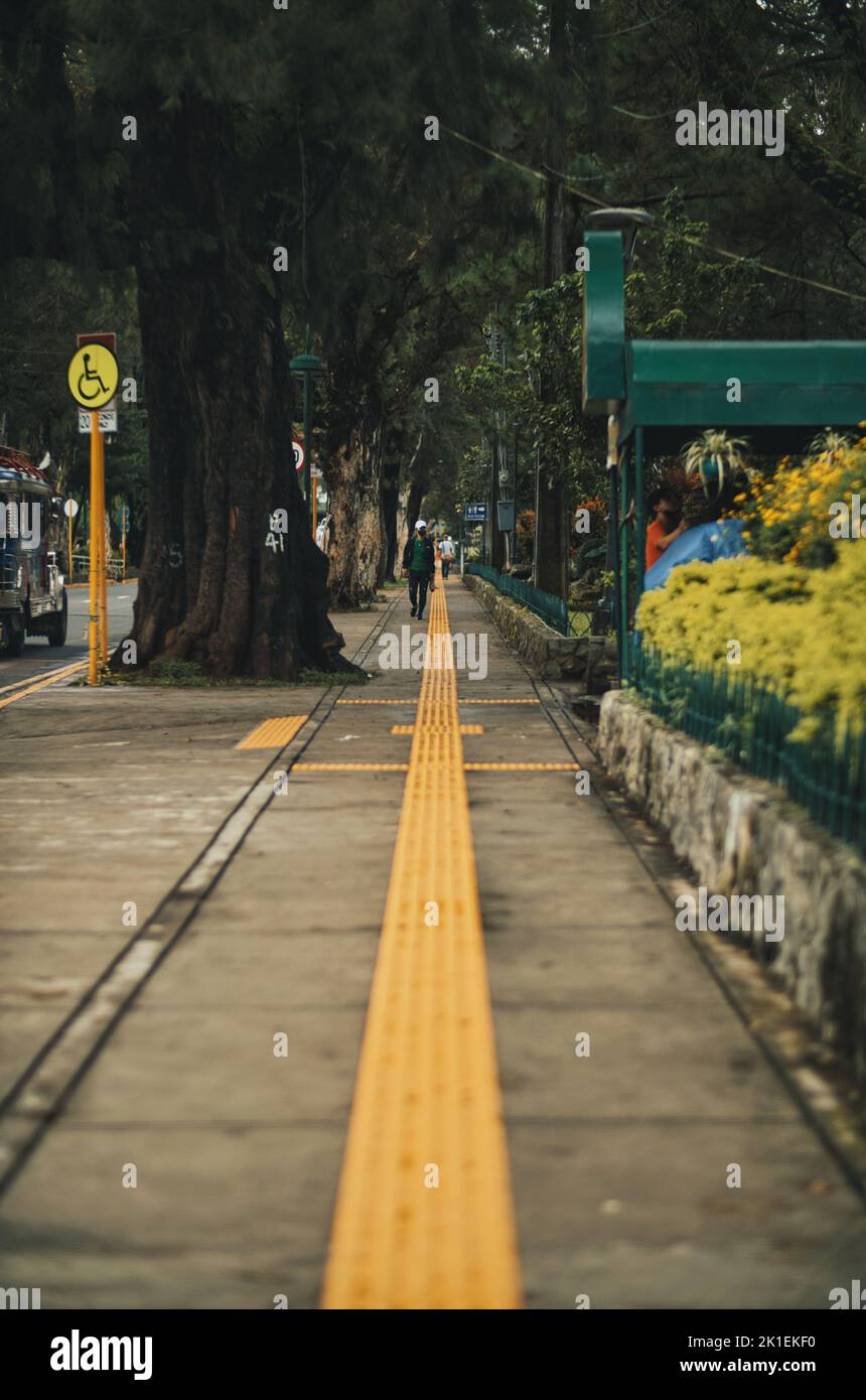 A vertical shot of a paved pedestrian walkway by the garden Stock Photo ...