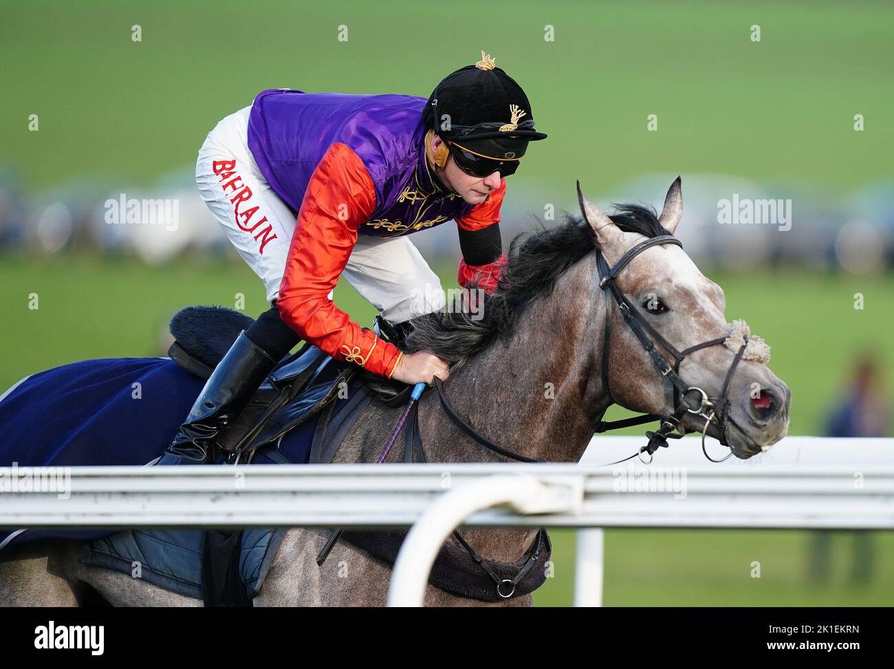 Saga ridden by Robert Halvin and trained by John Gosden on the gallops ...
