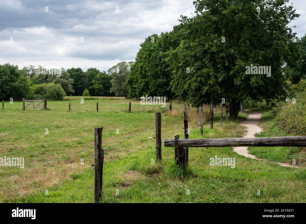 Doode beemde hi-res stock photography and images - Alamy