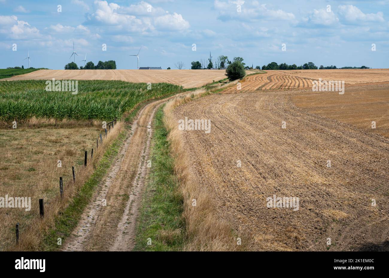 Road through the golden agriculture fields around Namur, Belgium Stock ...