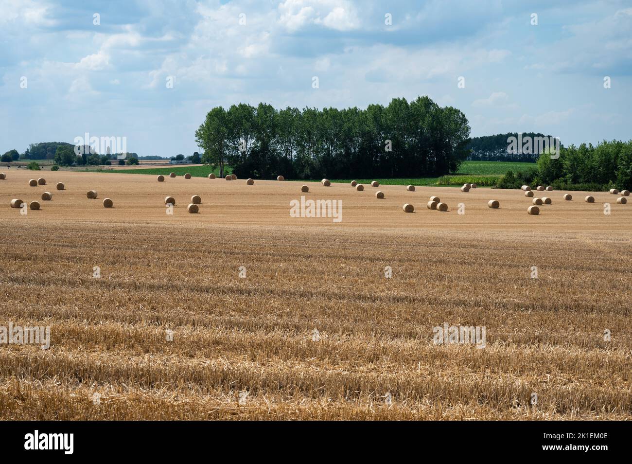 Hay roles and straw at the golden agriculture fields around Namur ...