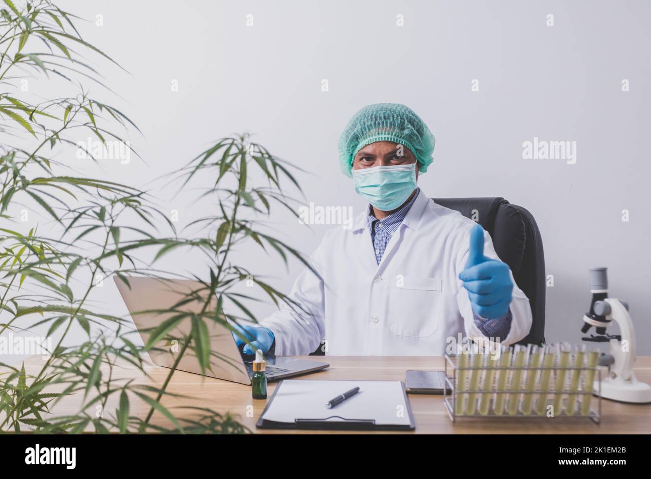 and cannabis researchers are experimenting Stock Photo - Alamy